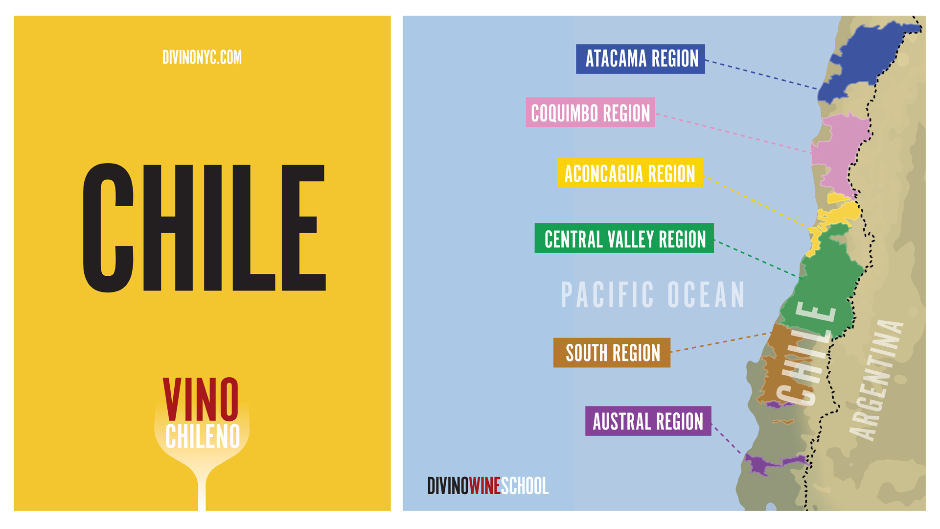 Chilean Wine Guide: History and Wine Regions of Chile - DiVino